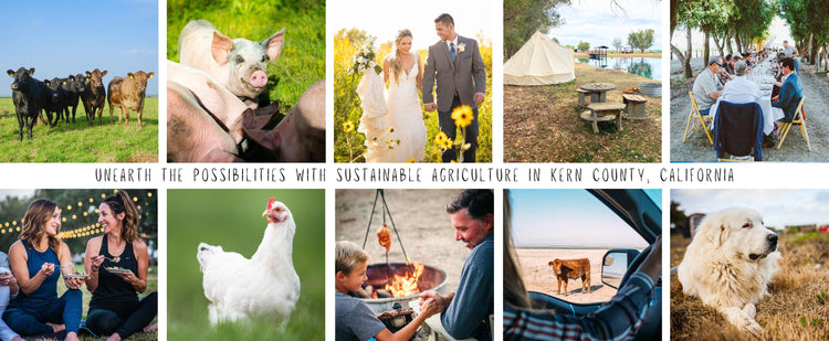 Regenerative Farm, Wedding Venue and Campsite I Autonomy Farms